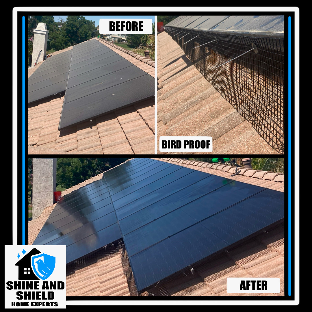 Services - Shine and Shield Home Experts